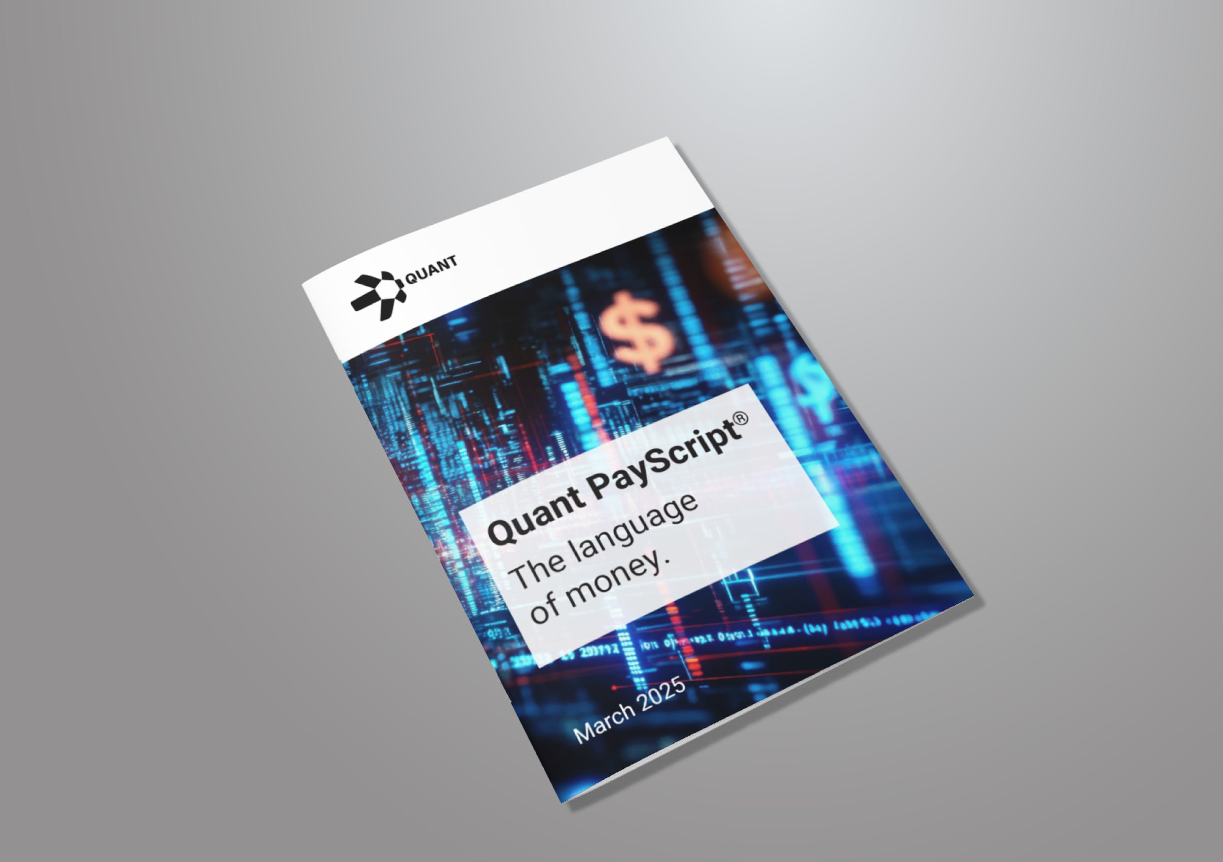 Quant | Programmable payments paper